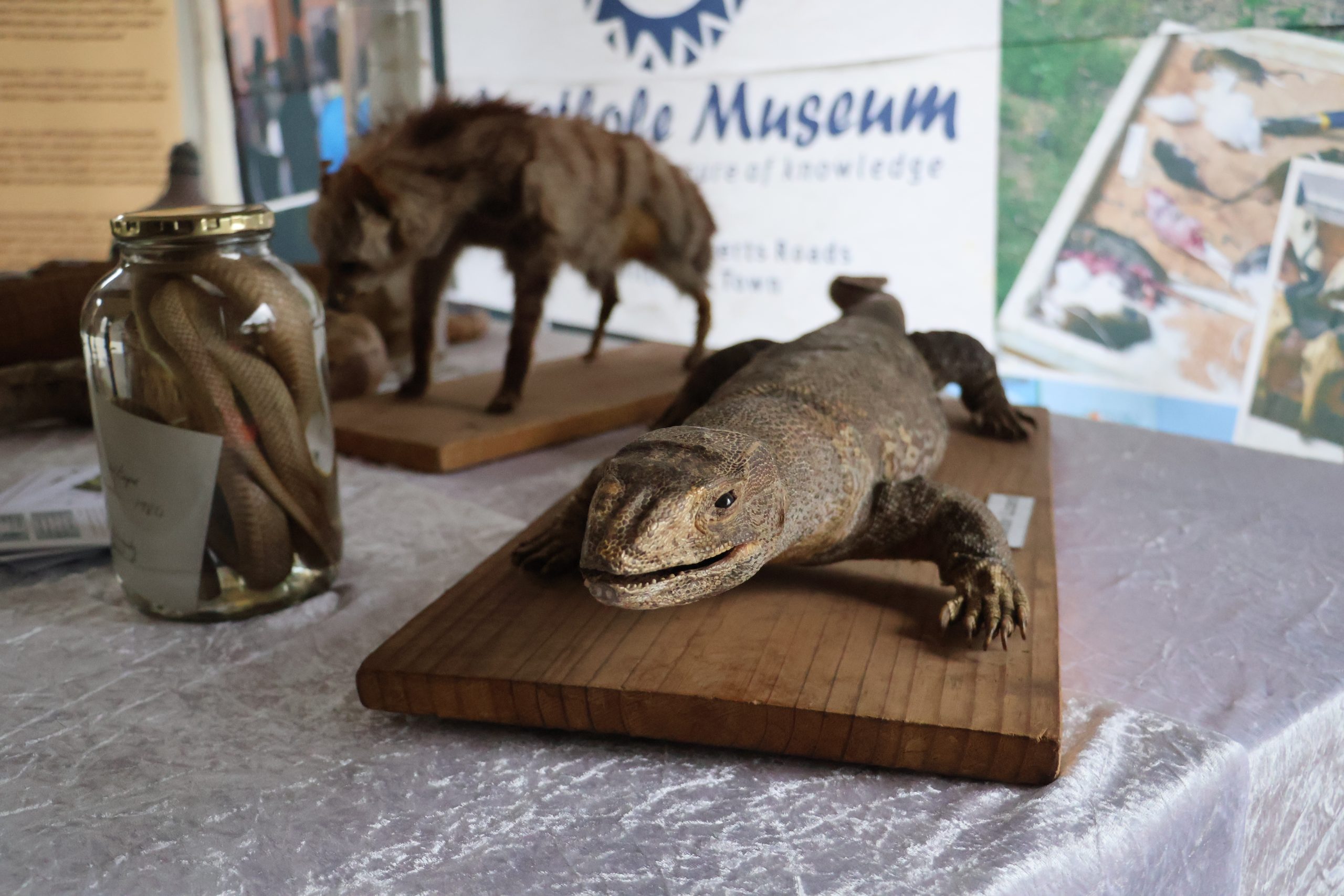 International Museum Day Celebrated to Promote Provincial Museum ...